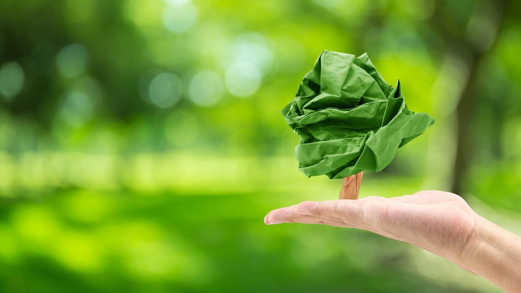 Waste Management Solutions & Services in Dubai | Green Recycling, Junk ...